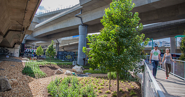 Ink Block Understory | Planning & Design | VHB