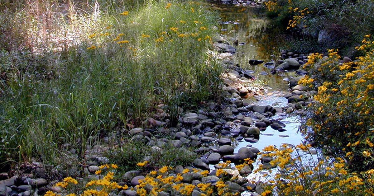 Water Resources at VHB | VHB