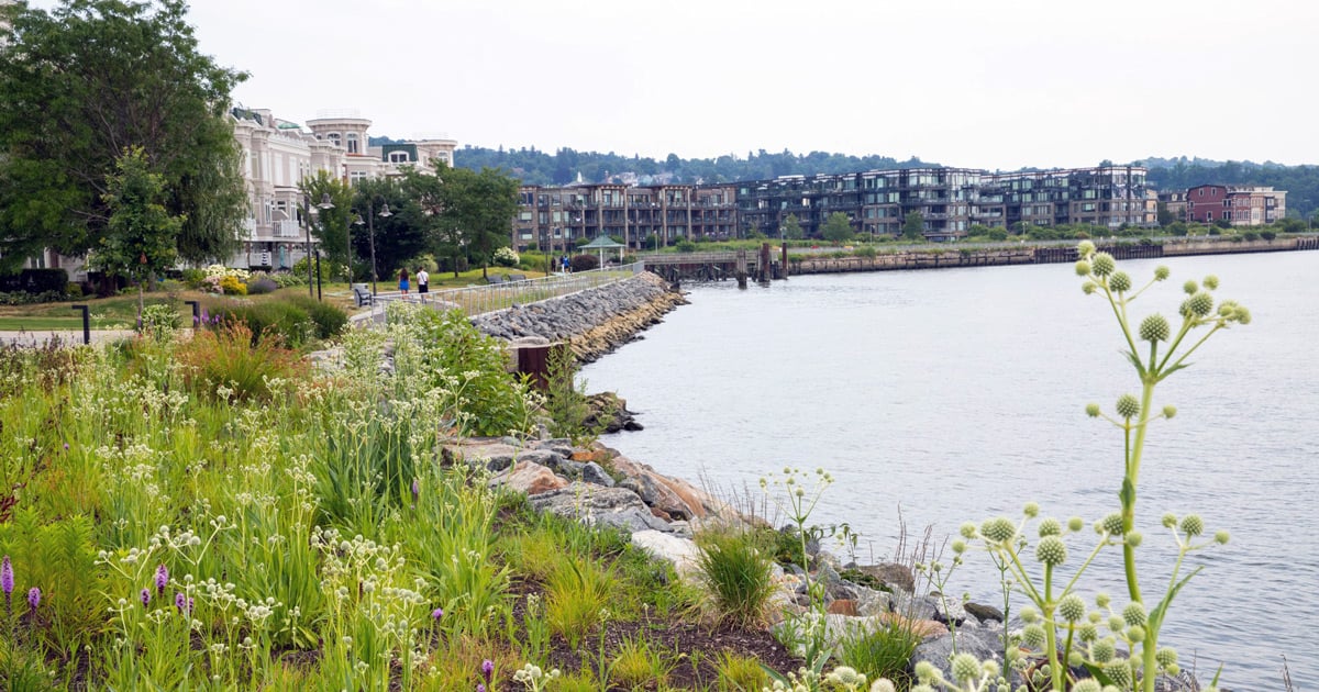 Northeast Climate Action | VHB