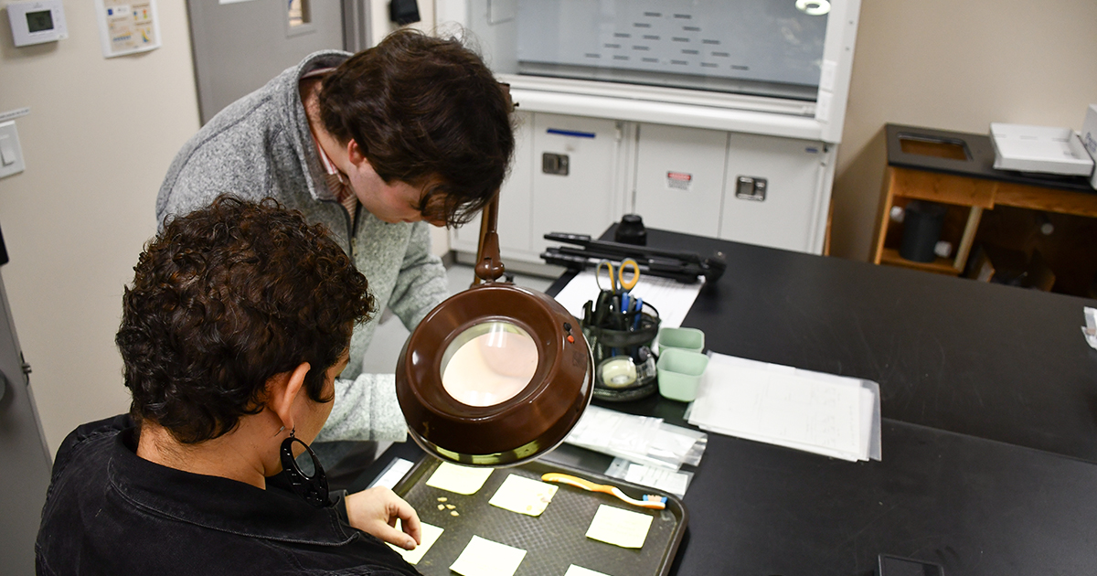 News | VHB Archaeology Lab Growth Helps Preserve Past | VHB