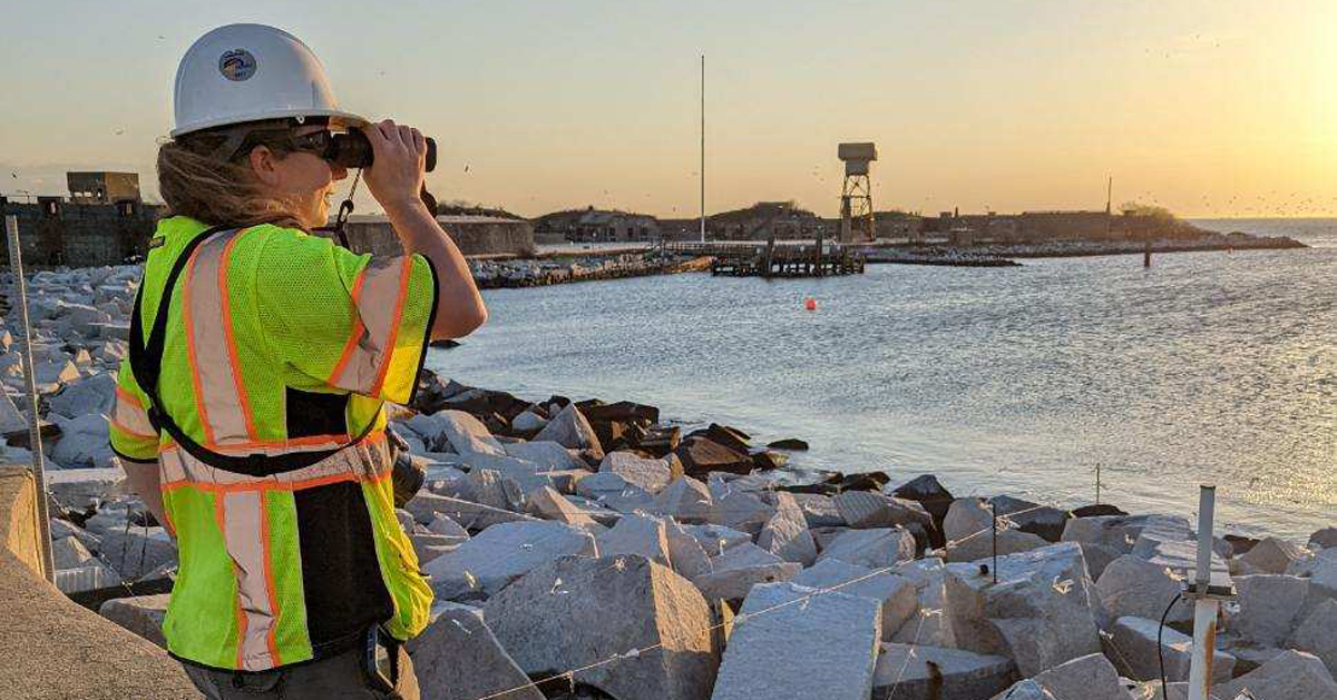 News | HRBT Bird Monitors Featured in Local News | VHB