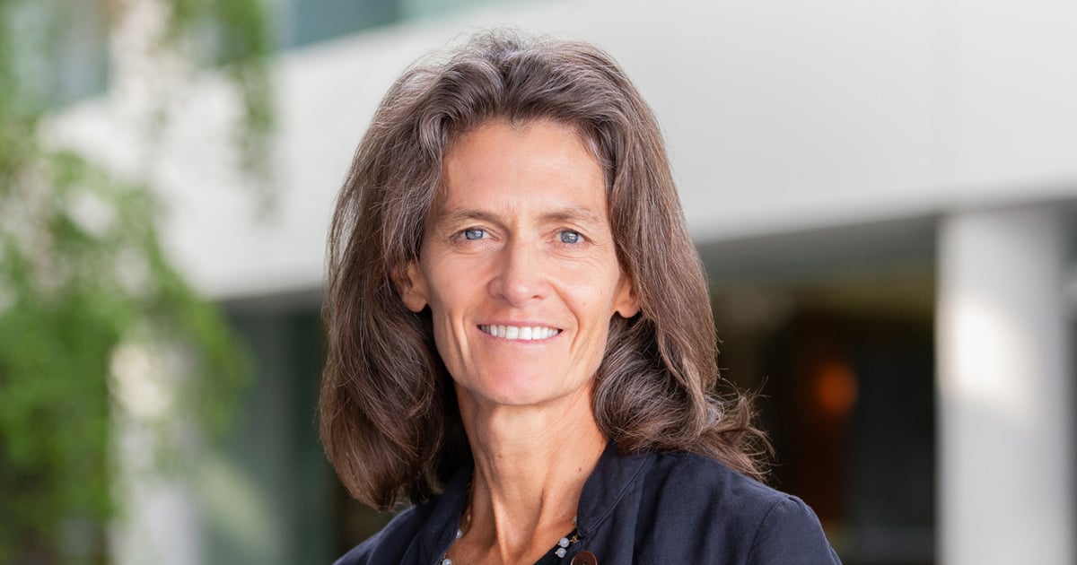 News | An Interview with Megan Raymond on Designing with Nature | VHB