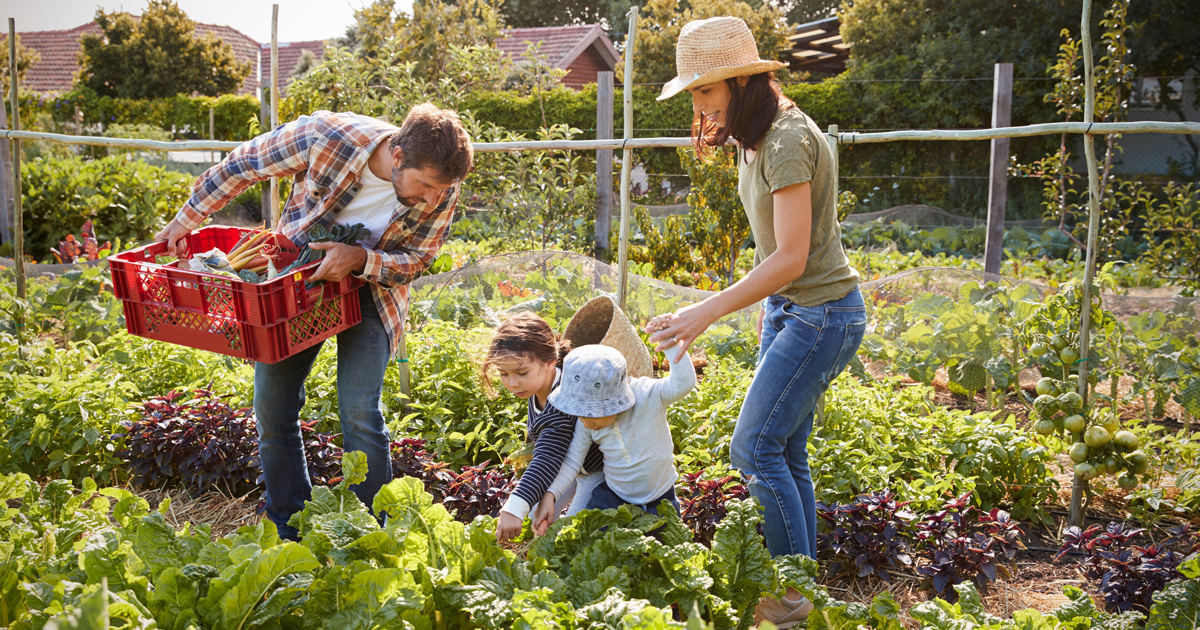 News | VHB Expands Healthy Communities With Mixed Use Agrihood The Grow ...