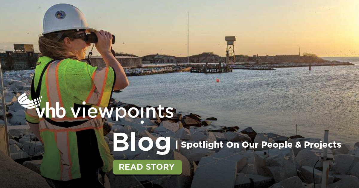 Sustaining a Seabird Colony: Conservation Action During VDOT’s Largest ...