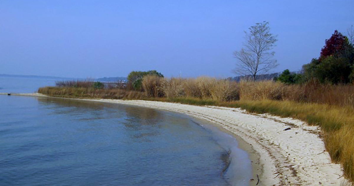 Resilient Shoreline Design | Viewpoints | Thought Leadership | VHB